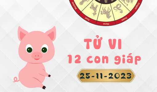 Tử vi 12 con giáp ngày 25/12/2023: Tý có chút khó khăn