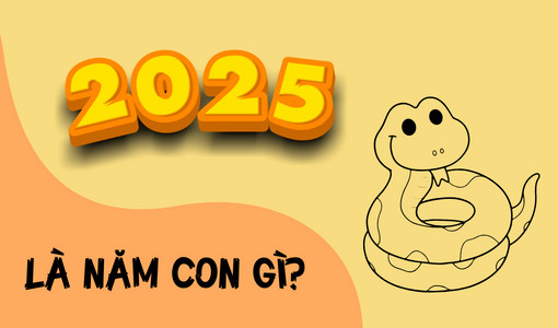 Năm 2025 là năm con gì, cuộc đời người sinh năm 2025 ra sao?